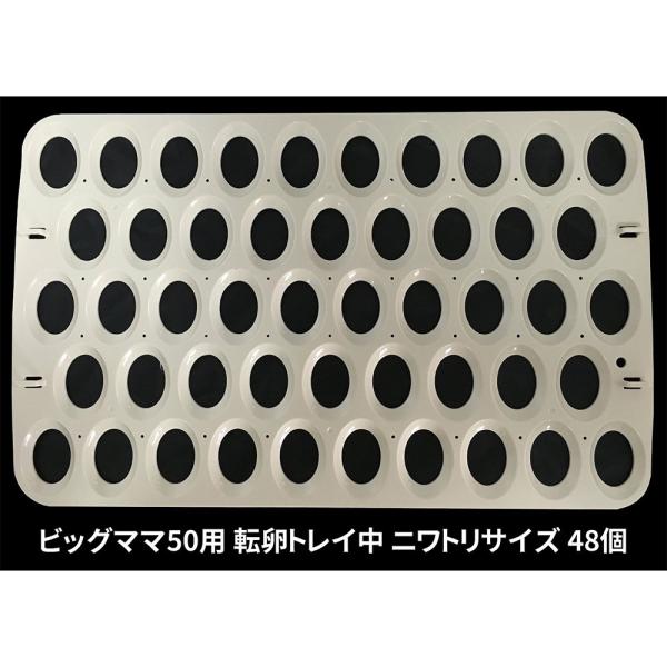 ●ビッグママ50には初めから万能卵枠は付属しております。●ビッグママ50に専用卵枠をセットしていただくと標準装備の万能卵枠は必要ございません。●同サイズの卵を孵卵する場合に便利なトレイです。●専用トレイ(中)ご使用時は鶏卵サイズで48個入卵...