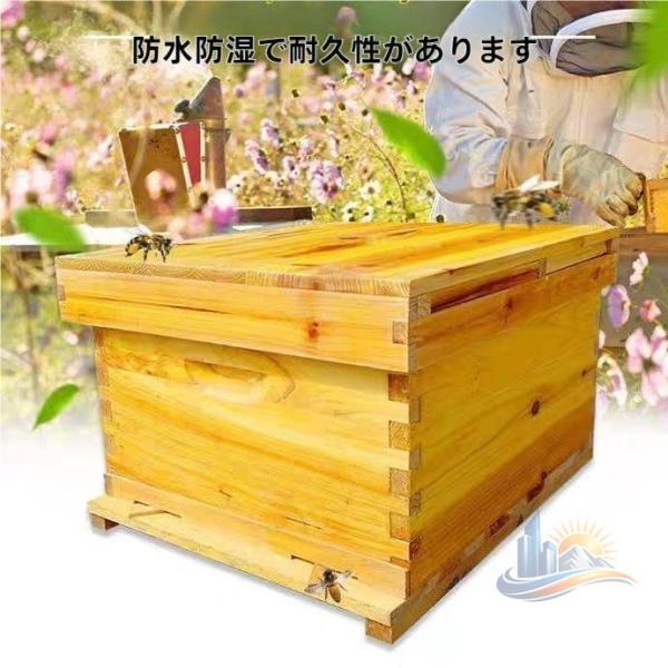 ★蜂の巣の完全なキット：10フレーム蜂の巣の完全なキット、簡単な組み立ては、非常に実用的な養蜂製品です。★専??門家や愛好家に最適：この蜜蜂巣箱、簡単な収穫の喜びを体験したい養蜂家や既存のハイブを持つハイブ愛好家に最適です。★ハニービーハイ...