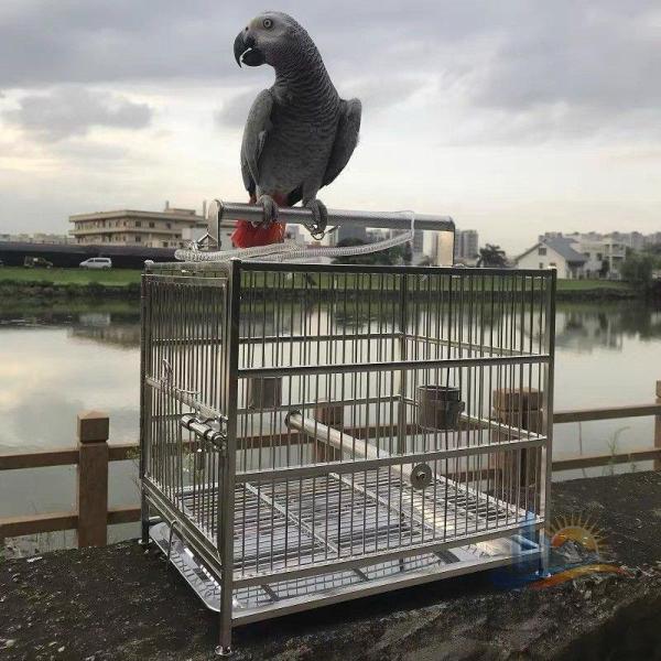 屋外用鳥かご：鳥かごはサイズが大きく、全体がステンレス製で、一年中屋外で使用できます。 アフリカ灰色のオウム、金色の太陽のオウムなどの中型のオウムにのみ適しています（小型および大型のオウムには適していません）。 散歩、旅行、通院などに最適で...