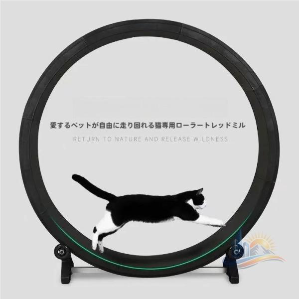キャット ランニング ホイール スクラッチャー ボード ミュート トレーナー 子猫 トレーニング キティ用