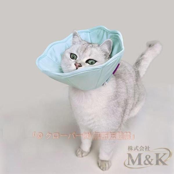 【多機能】犬?猫の皮膚病、避妊?去勢手術、かゆみ、赤みや手術の回復過程等で、傷口を舐めたり、噛んだりする行為を防ぐ機能に加え、爪切りや入浴の際などにもご活用頂けます。検索ワード：ソフト 軽量 猫 術後ケア 傷舐め防止 引っ掻き防止 爪切り ...