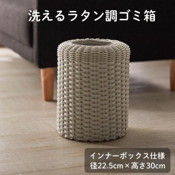 ゴミ箱 ごみ箱 くず入れ ダストボックス ゴミ入れ ごみ入れ 屑箱 くず箱 新生活 爆買 洗えるラタン調 washrattan