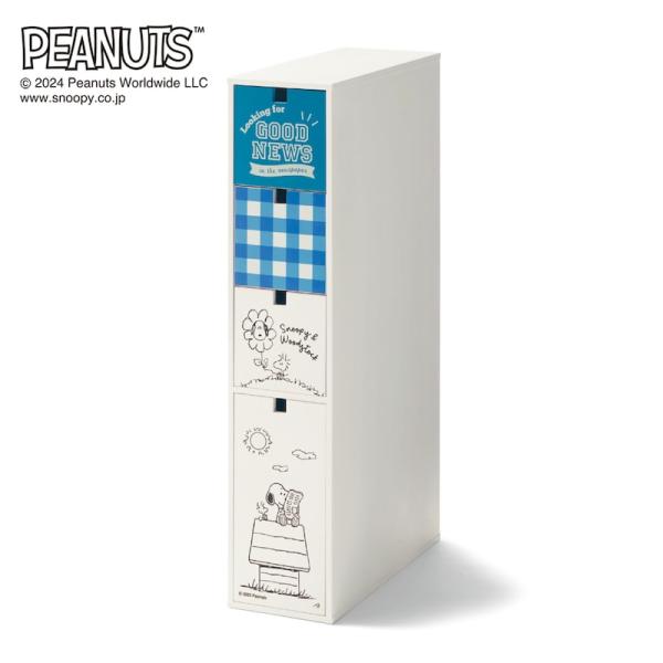 収納 収納用品 収納家具 保管 収容 片づけ 片付け 新生活 爆買