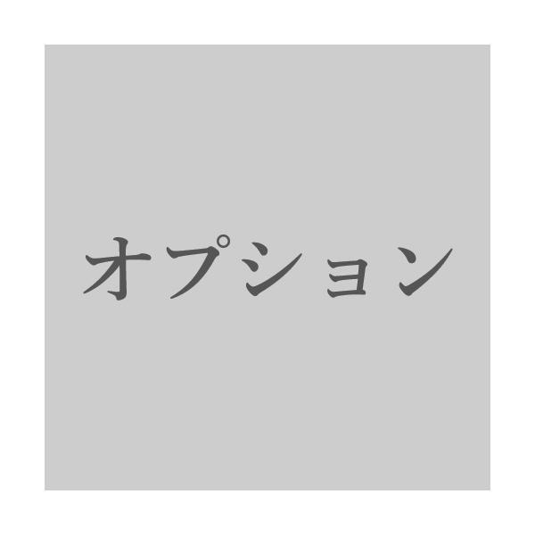 オプション 880円
