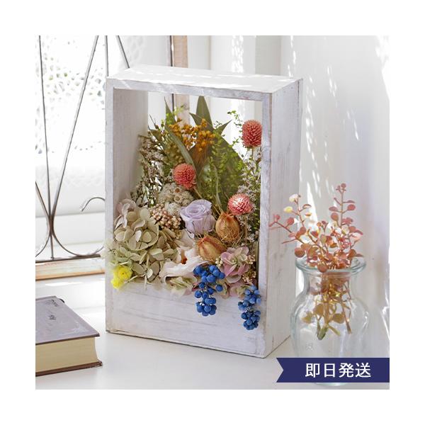 【発売日：2009年04月01日】◆商品名pre0374ドライフラワー　ナチュラルフレーム　トール ◆主な商品・材料グラミーシキミアピック（アート）、バラ（プリザ）、アジサイ（ドライ）、ウィローユーカリ（プリザ）、ソリダコ（プリザ）、シャワ...