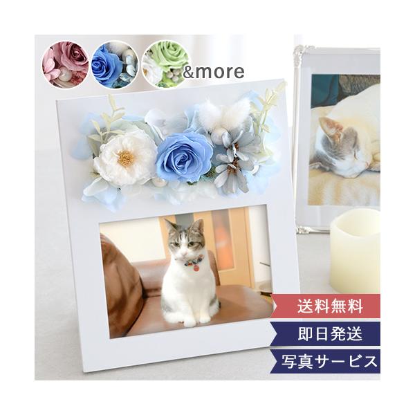 ◆商品名  プリザーブドフラワーフォトフレーム　ペット仏花 プレシャスメモリーズ◆サイズ約横16cm×高19cm◆その他 ※沖縄・離島・一部地域は追加送料がかかる場合があります。土・日・祝日の発送業務はお休みです。全ての商品と同梱可能です◆...