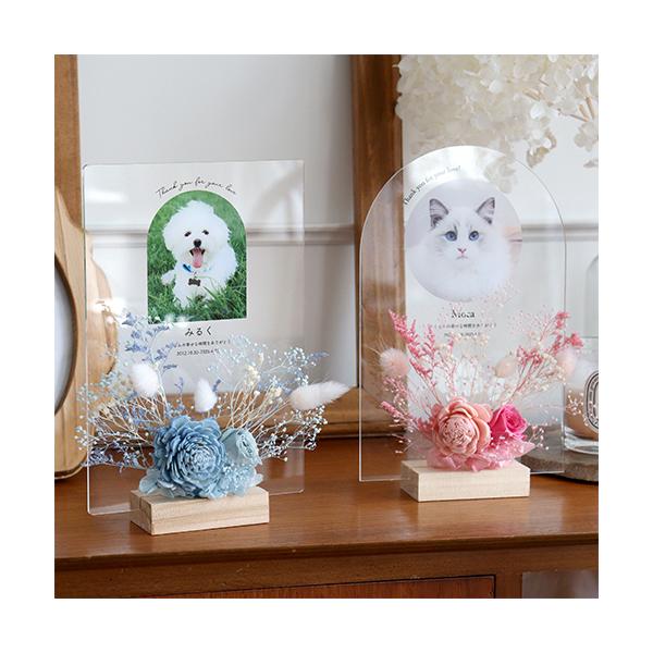 プリザーブドフラワー ペット仏花 メッセージアクリルボード虹の橋のふもとに ずっと大好きの気持ちを届ける◆サイズ約W140×D50×H200mm◆主な材料ソーラーローズ・小、ビビアン、アナベル・ヘッド、ソフトミニカスミ、カスピア、ハニーテー...