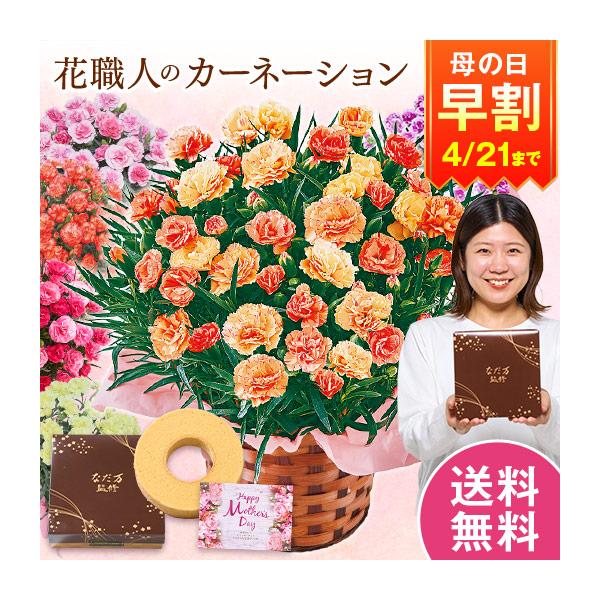 カーネーションフロランタン＋バウムクーヘンセット【母の日お届け】■お届けのご案内お届け予定日：2026年05月06日(水)―05月10日(日)早割申込締切：2026年04月21日(火)15時迄お届け内容：【生花】【5号鉢】【屋外向け】●カー...