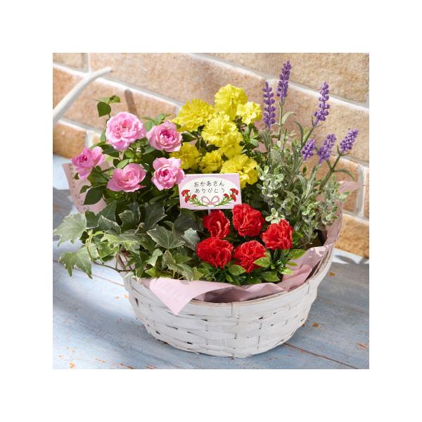 花あふれるカラフルバスケット【母の日お届け】■お届けのご案内お届け予定日：2026年05月06日(水)―05月10日(日)早割申込締切：2026年04月21日(火)15時迄お届け内容：【生花】【バスケット】【屋外向け】●カーネーション（赤）...