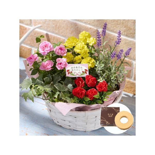 花あふれるカラフルバスケット＋バウムクーヘンセット【母の日お届け】■お届けのご案内お届け予定日：2026年05月06日(水)―05月10日(日)早割申込締切：2026年04月21日(火)15時迄お届け内容：【生花】【バスケット】【屋外向け】...