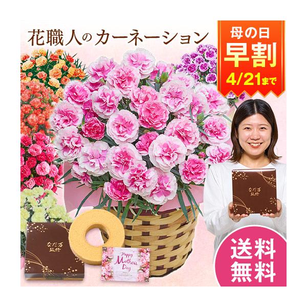 カーネーションティーパーティー＋バウムクーヘンセット【母の日お届け】■お届けのご案内お届け予定日：2026年05月06日(水)―05月10日(日)早割申込締切：2026年04月21日(火)15時迄お届け内容：【生花】【5号鉢】【屋外向け】●...