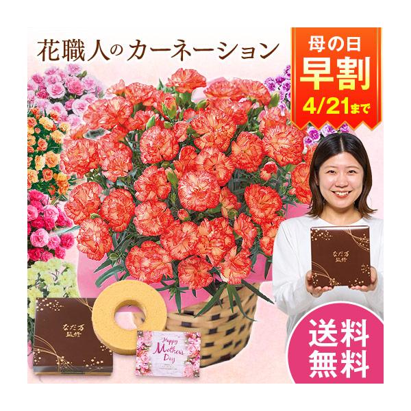 オレンジカーネーション＋バウムクーヘンセット【母の日お届け】■お届けのご案内お届け予定日：2026年05月06日(水)―05月10日(日)早割申込締切：2026年04月21日(火)15時迄お届け内容：【生花】【5号鉢】【屋外向け】●カーネー...