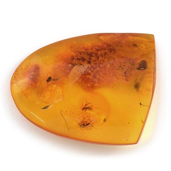 蜂蜜のようなこってりしたオレンジイエローとやさしい質感が魅力の琥珀。今回ご紹介のルースは、その、魅力的な琥珀の中に、虫が入っているルースです。琥珀は、樹木が落雷や害虫などで傷つけられることで樹液（樹脂）を分泌し、樹脂が固まって化石化したもの...