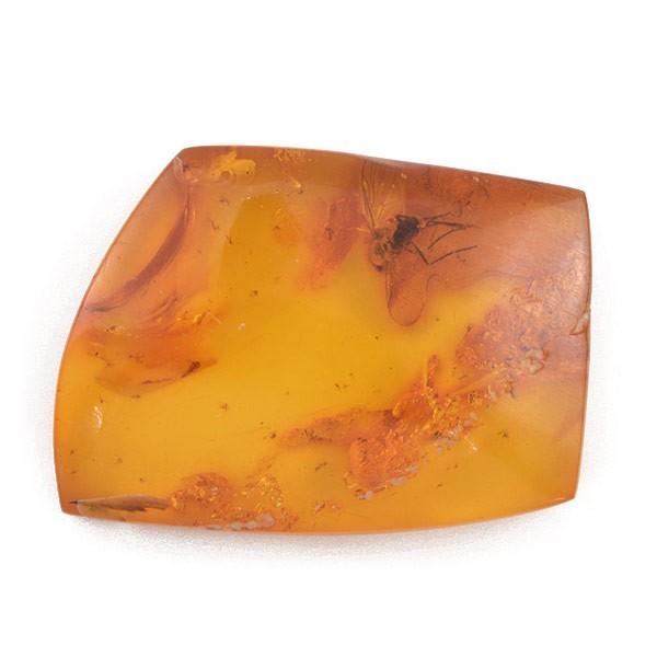 蜂蜜のようなこってりしたオレンジイエローとやさしい質感が魅力の琥珀。今回ご紹介のルースは、その、魅力的な琥珀の中に、虫が入っているルースです。琥珀は、樹木が落雷や害虫などで傷つけられることで樹液（樹脂）を分泌し、樹脂が固まって化石化したもの...