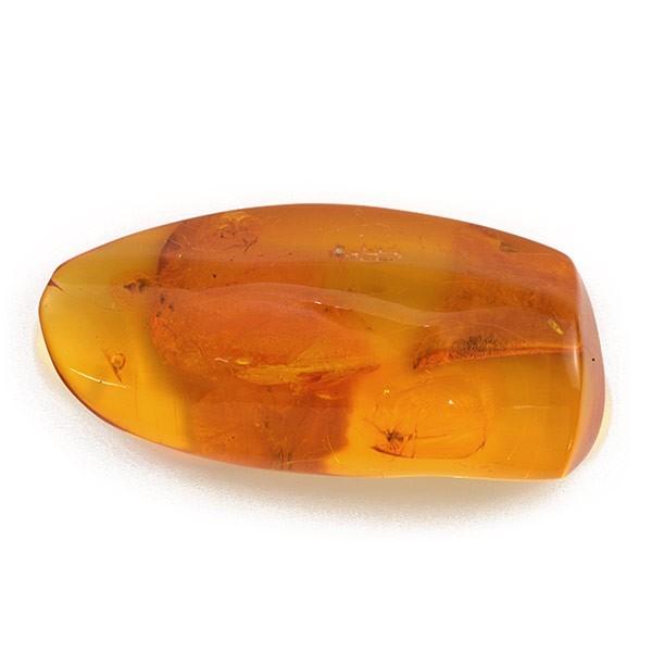 蜂蜜のようなこってりしたオレンジイエローとやさしい質感が魅力の琥珀。今回ご紹介のルースは、その、魅力的な琥珀の中に、虫が入っているルースです。琥珀は、樹木が落雷や害虫などで傷つけられることで樹液（樹脂）を分泌し、樹脂が固まって化石化したもの...