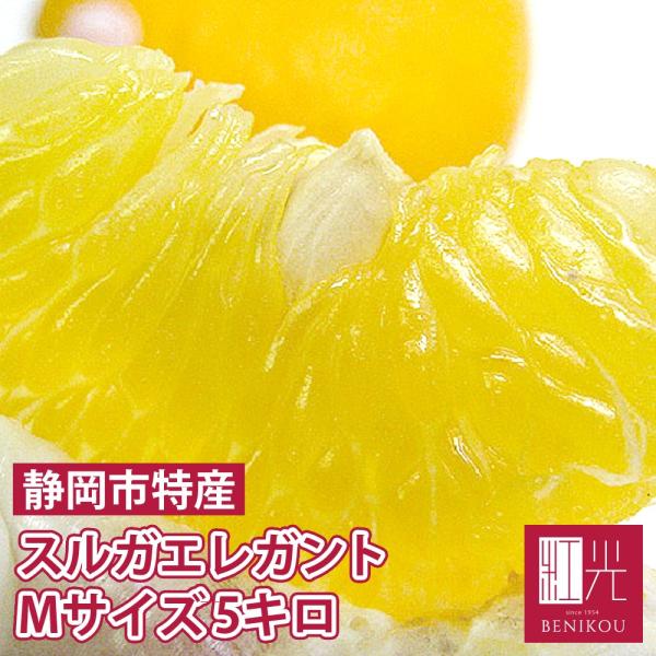【発売日：2026年03月02日】静岡市特産の新品種の甘夏です。文旦と川野甘夏の交配品種。爽やかでさっぱりした甘さと香りが特徴。普通の甘夏とはひと味違ったおいしさです。品名：スルガエレガント内容：約5kg(約15-20玉入り)生産地：静岡県...