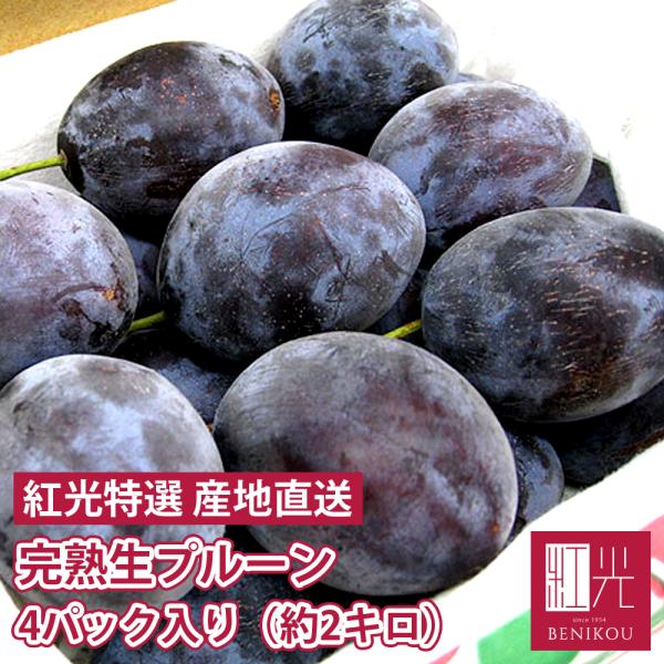 【発売日：2026年09月30日】【早期予約割価格と通常価格の比較】早期予約割：1箱 4,480円（税込）通常価格：1箱 4,780円（税込）★1箱につき300円お得！【箱数／早期予約割（送料込み）／通常価格（送料込み）／お得額】1箱／6,...