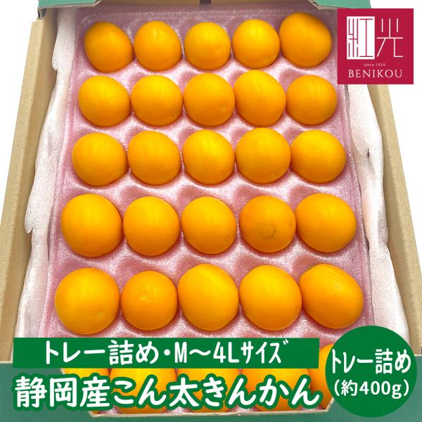 静岡市清水の近藤さんが交配・栽培した新品種、こん太きんかん！すでに店頭でキンカンをみかけた方も多くいらっしゃるとは思いますが、このこん太きんかんは樹上で完熟させるために出荷時期が一般のものより遅いです。 人気急上昇。東京方面出荷もはじまりま...