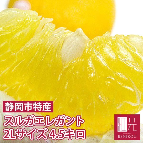 【発売日：2026年03月02日】静岡市特産の新品種の甘夏です。文旦と川野甘夏の交配品種。爽やかでさっぱりした甘さと香りが特徴。普通の甘夏とはひと味違ったおいしさです。品名：スルガエレガント内容：約4.5kg(約11-14玉入り)生産地：静...