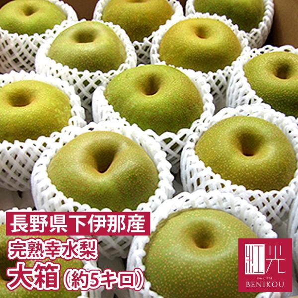 【発売日：2026年08月17日】長野県産 幸水梨（こうすいなし）★梨といえばやっぱり「幸水」！★甘みが強く果汁たっぷりで、日本で最も人気のある梨の品種です。シャリっとした食感と、口いっぱいに広がるジューシーな甘さをぜひお楽しみください。◆...