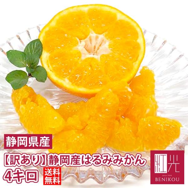 【発売日：2026年02月05日】【お得な 訳あり はるみ みかん！期間限定です♪】はるみは、デコポンと同じ品種の交配で生まれた新しいみかん！清見とポンカンをかけ合わせて誕生しました！  強い甘みの中にも適度が酸味があり、果汁も多く香りも良...