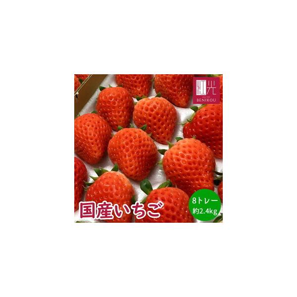 【発売日：2025年12月25日】長野県産の「サマープリンセス・サマーリリカル・すずあかね・真心（まごころ）」、北海道産「すずあかね」、静岡県産「紅ほっぺ・きらぴ香」のいずれかをお届けします。品種はご指定頂けませんので予めご了承下さい。【※...