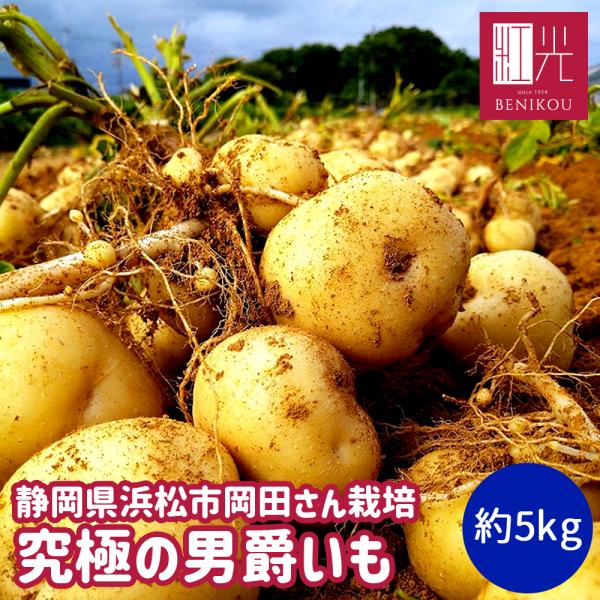 【発売日：2026年06月27日】★静岡県浜松市岡田さん栽培の究極の男爵いも★  当店の人気商品『大根切干』の生産者、静岡県浜松市の岡田さんが丁寧に栽培し、収穫した究極の男爵いもです♪  ぜひ、この機会に食べ比べてみて下さい！！  男爵いも...