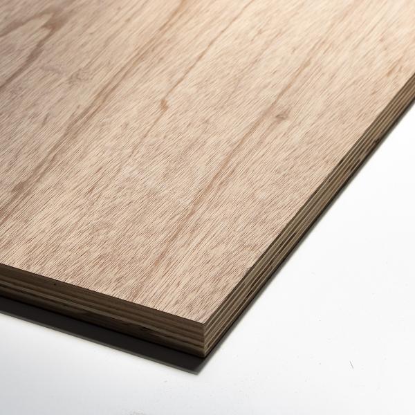 【発売日：2019年07月16日】※大型商品はビジネス大型便の配送になります。★法人（合同会社）・屋号（開店前店舗・本名屋号・個人事業主・フリーランサー）・協会・団体・活動（画家・アーティスト・YouTuber・ワークショップや個展等のイベ...