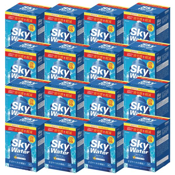 Sky Water/効率的スポーツドリンク/水分補給に/熱中症対策に