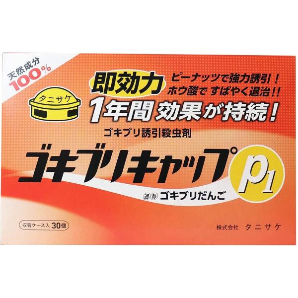 ゴキブリ殺虫剤