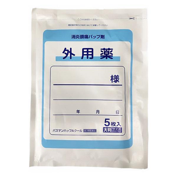 大石膏盛堂 パスマンハップAクール 5枚入 湿布 腰痛 打撲 捻挫