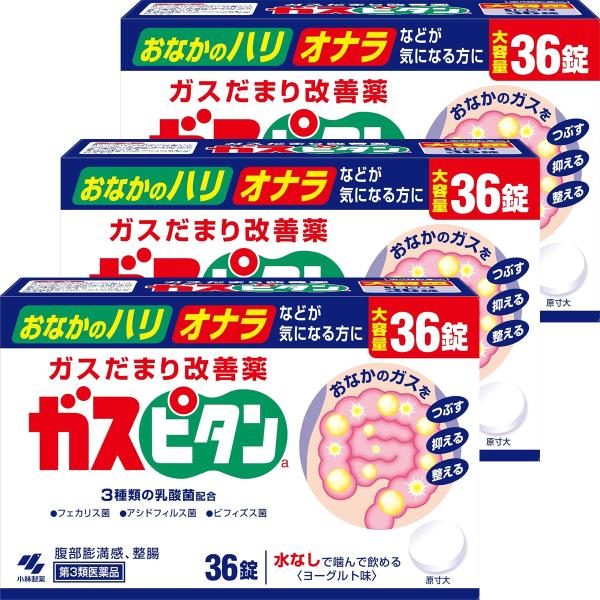 小林製薬/ガスピタン/ガスだまり改善薬