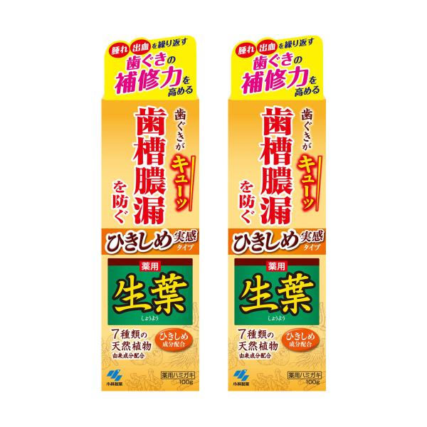ひきしめ生葉 小林製薬 歯周病 口臭 歯周膿漏予防 歯磨き粉