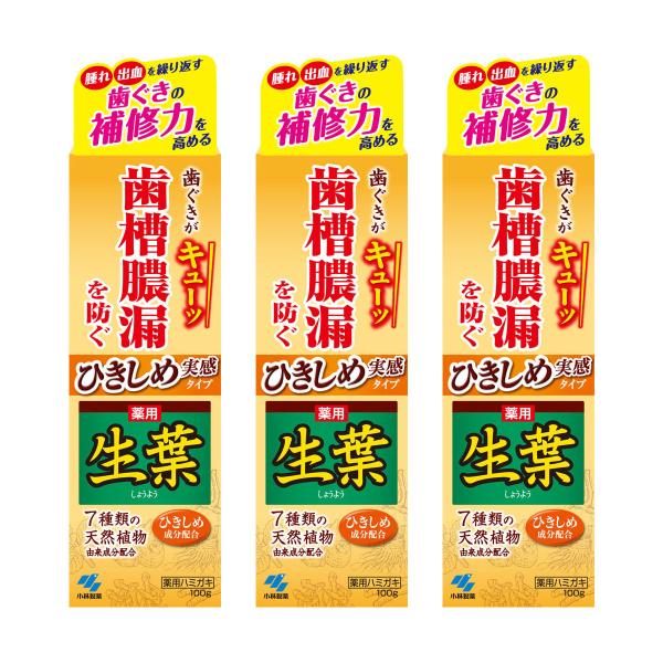 ひきしめ生葉 小林製薬 歯周病 口臭 歯周膿漏予防 歯磨き粉