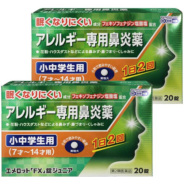 鼻炎薬/花粉/ハウスダスト/鼻のアレルギー症状に