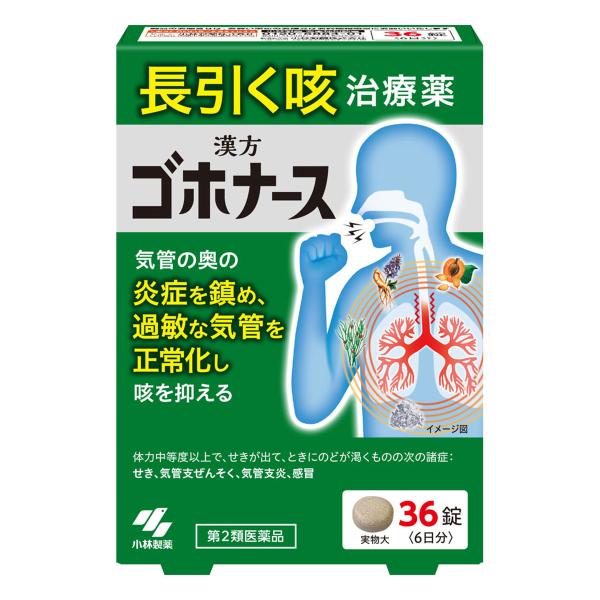 小林製薬 ゴホナース 錠剤 麻杏甘石湯 せき 咳止め