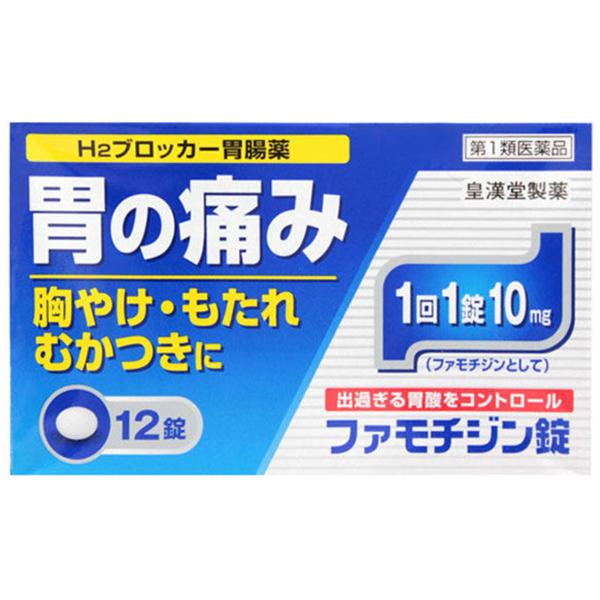 胃痛、胸やけ、もたれ、むかつきに/ガスター10と同処方
