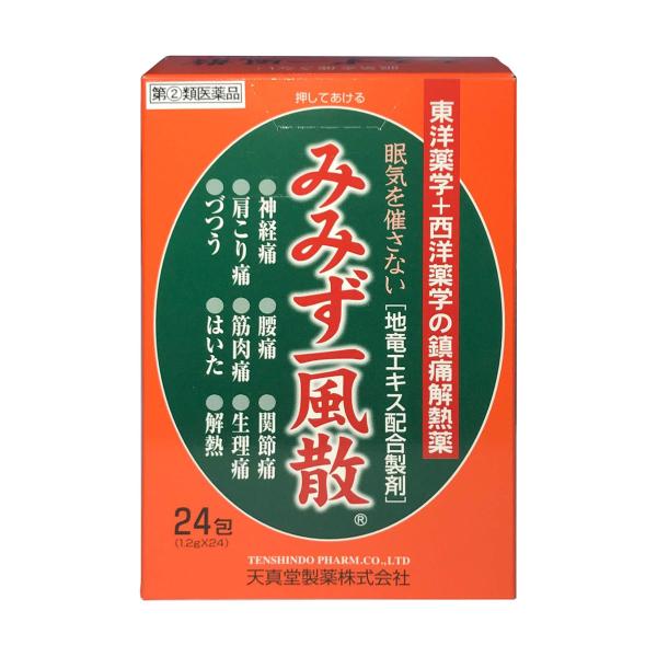 天真堂 みみず一風散 24包 解熱 鎮痛 痛み止め