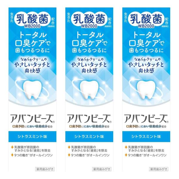 アバンビーズ トータル口臭ケア シトラスミント 80g 歯磨き粉