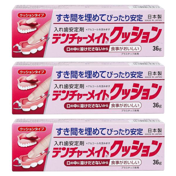 共和/入れ歯安定剤/クッションタイプ