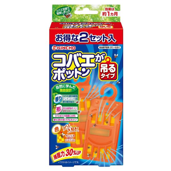 キンチョー/コバエ用/誘引＋粘着式捕獲器/コバエ駆除