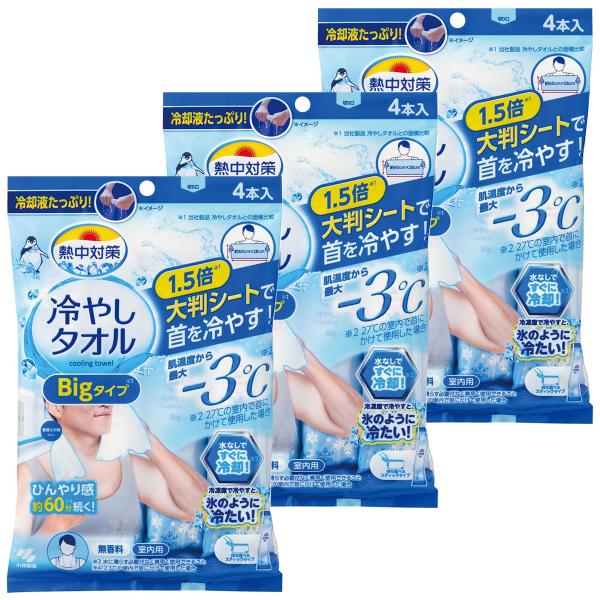 小林製薬 熱中対策 冷やしタオル Big ビッグ 4本入 冷感シート