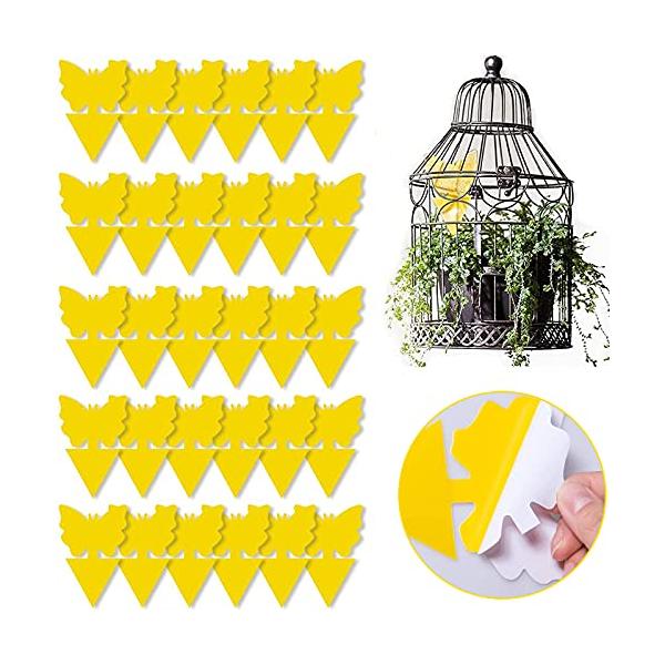 【ご購入後の当店からの連絡はご登録のメールアドレスに通知いたします。必ずご確認ください】◆【安全な材質】蝶タイプ害虫捕獲粘着紙は環境に優しい素材で作られています、殺虫剤や殺虫スプレーと違う、薬剤を使用しておりません、物理的な方法で虫を捕殺の...