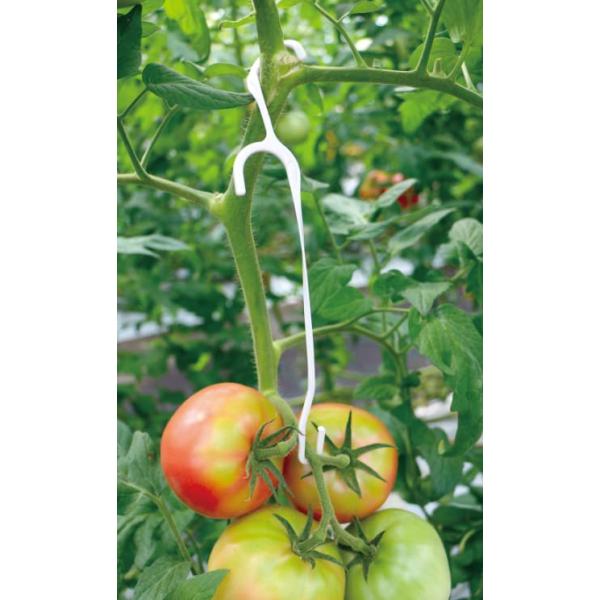 【ご購入後の当店からの連絡はご登録のメールアドレスに通知いたします。必ずご確認ください】・果房軸を吊り上げ折れや避けを低減　・房吊りロング取り付け手順