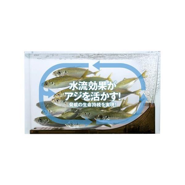 【ご購入後の当店からの連絡はご登録のメールアドレスに通知いたします。必ずご確認ください】サイズ:383×228×232mm本体素材:特殊ブレンド耐衝撃性コーポリマー中蓋素材:ポリプロピレン蓋素材:ポリエチレン水流ユニット素材:ABS最大容量...