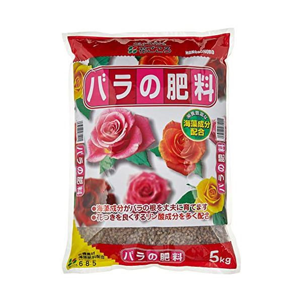 【ご購入後の当店からの連絡はご登録のメールアドレスに通知いたします。必ずご確認ください】製造国:日本