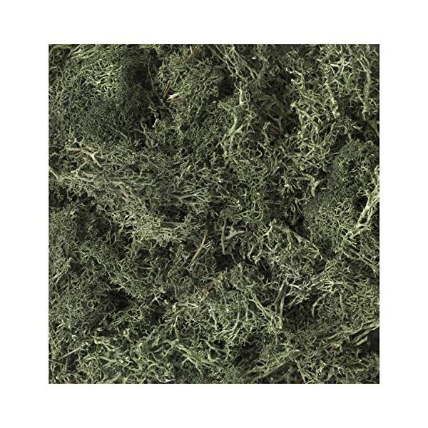 【ご購入後の当店からの連絡はご登録のメールアドレスに通知いたします。必ずご確認ください】KATOでお取り扱いしております、ウッドランドシーニックス社製のジオラマ材料ラインナップを刷新いたします。大小さまざまな樹木や森をはじめとした情景の再現...