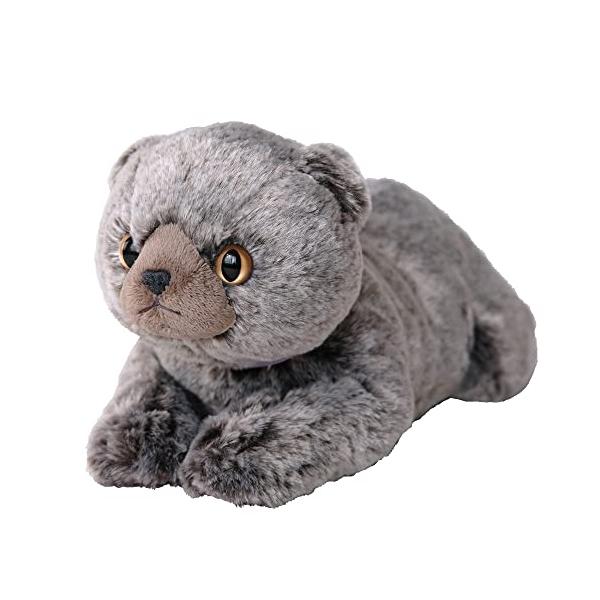 【ご購入後の当店からの連絡はご登録のメールアドレスに通知いたします。必ずご確認ください】スコティッシュフォールドが手触りなめらかな 「極もふ プレミアムタッチ」になって新登場!他のひざねこよりもぽっちゃりボディがかわいい猫です。 ファニーフ...