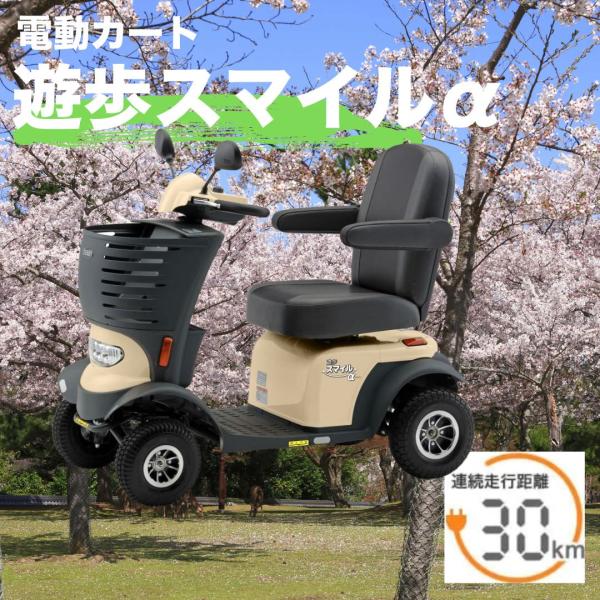 【遊歩スマイルアルファ】高齢化に伴う運転免許返納や買物困難者の増加、公共交通機関の衰退など、移動手段の課題を解決する手段として今注目されています。■製品情報寸法：全長×全幅×全高 1195×650×1100（mm）本体重量（バッテリ含む重量...