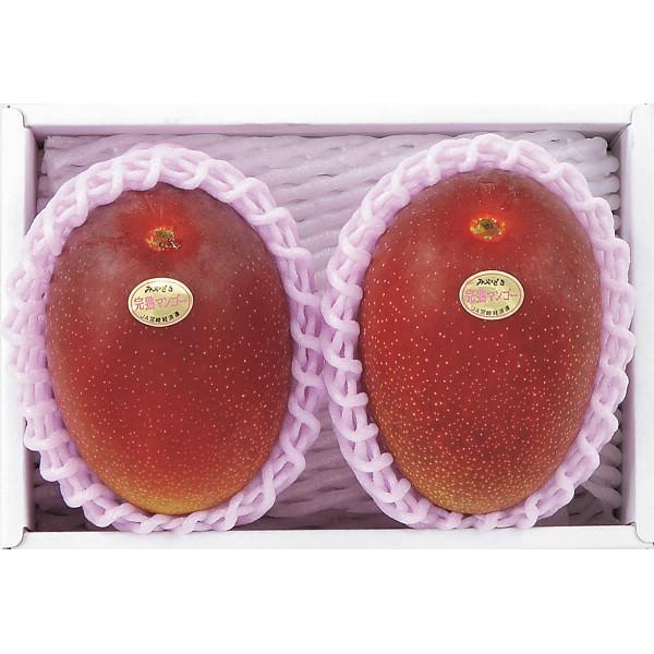 大切な方への贈り物に、ご自身へのご褒美に。■こちらの商品は収穫時期に合わせて出荷いたします。発送時期の目安は商品タイトルをご参照ください。入荷状況に応じて順次発送いたします。●マンゴーの実が自然に落下するまで樹に実らせたまま育て熟度を高めて...